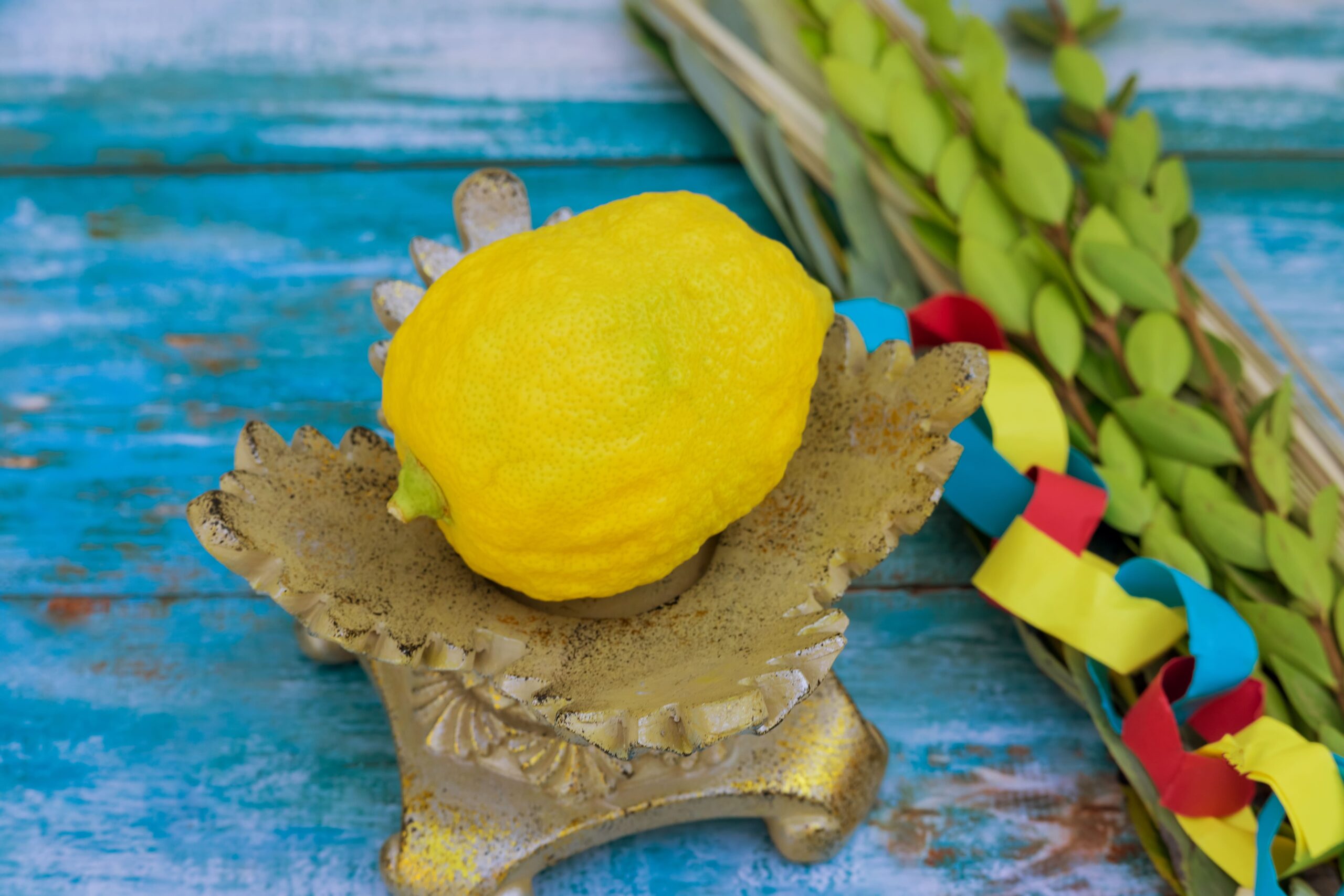 Proyectos para Sucot Actividades intercolegiales - Judaísmo para Morim ...